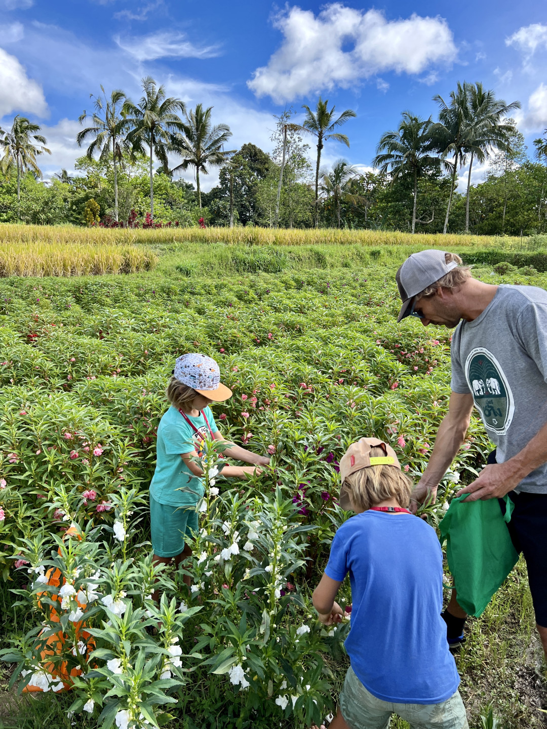 Bali chez l'habitant - voyage authentique en famille - TRIP AND TWINS